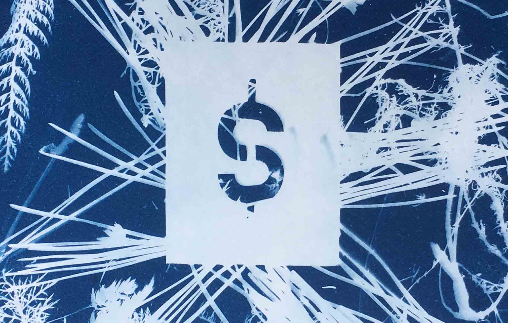 5 SUMMER PHOTO PROJECTS TO SPARK YOUR CREATIVITY - Artists Action Network